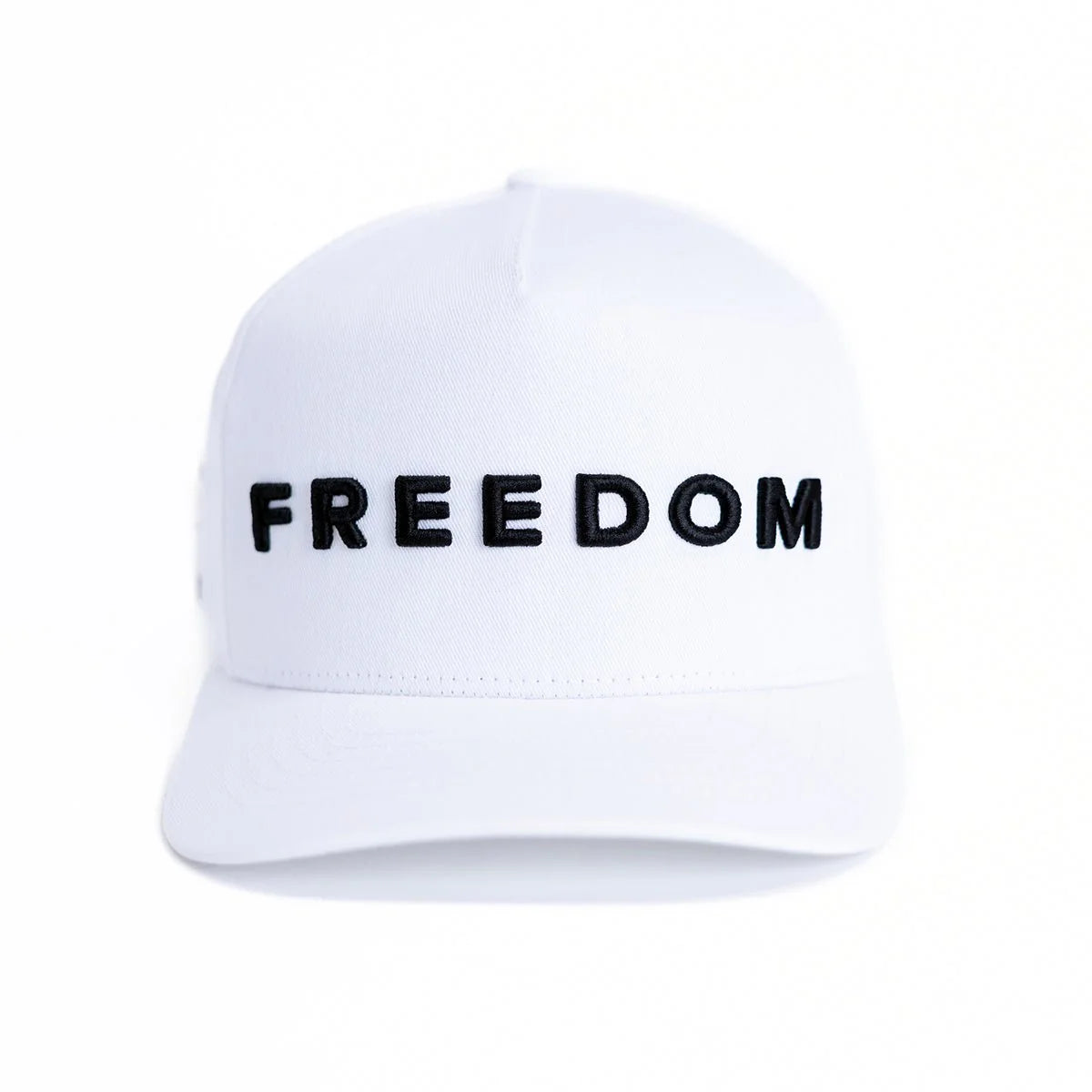 SAVE AMERICA – Winning Team Publishing
